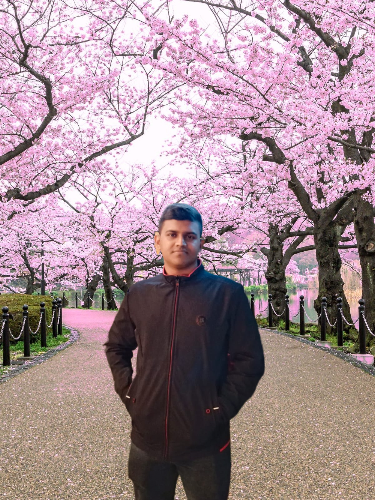 Labib Portfolio Website